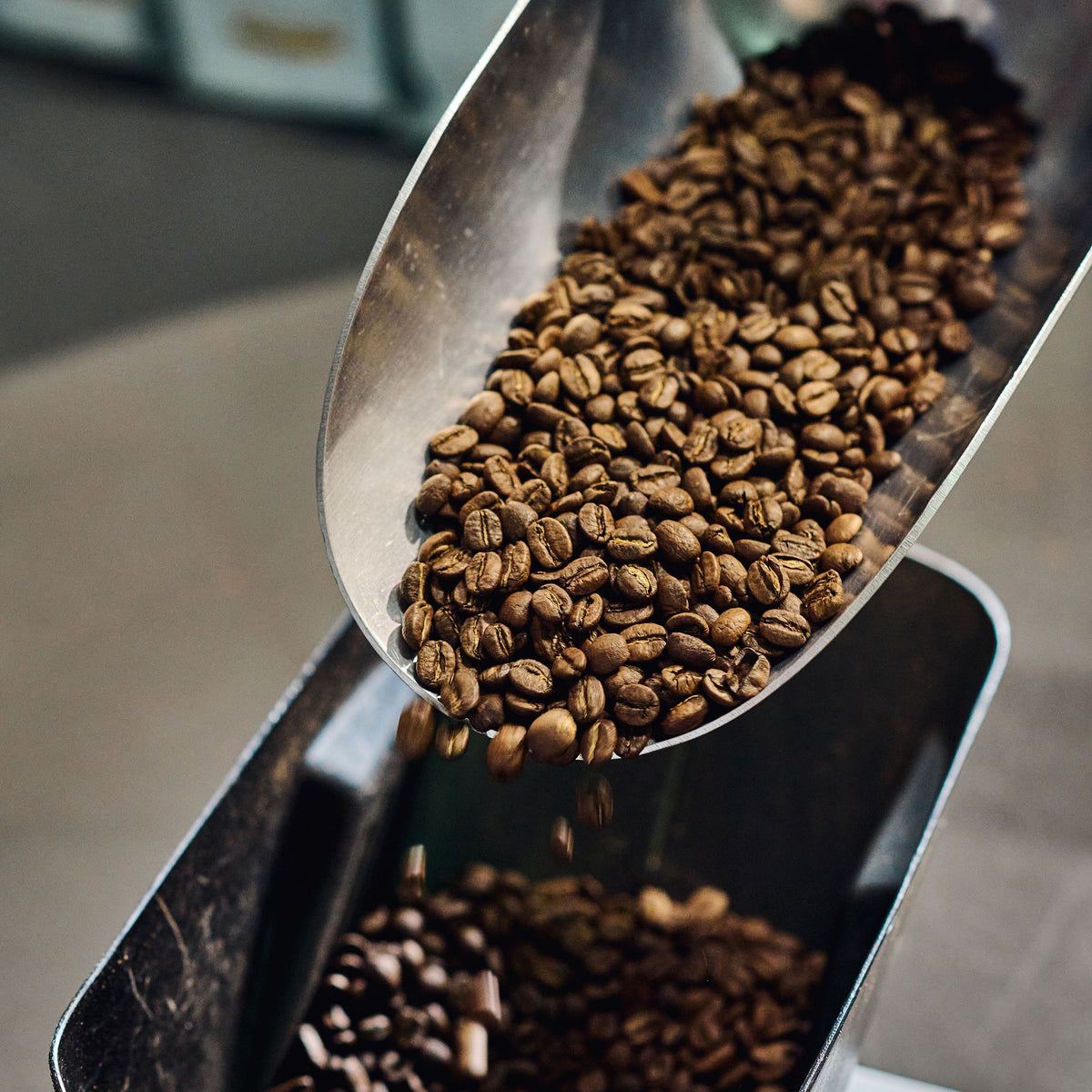 Opt for a Local Roaster for a Unique and Committed Coffee?